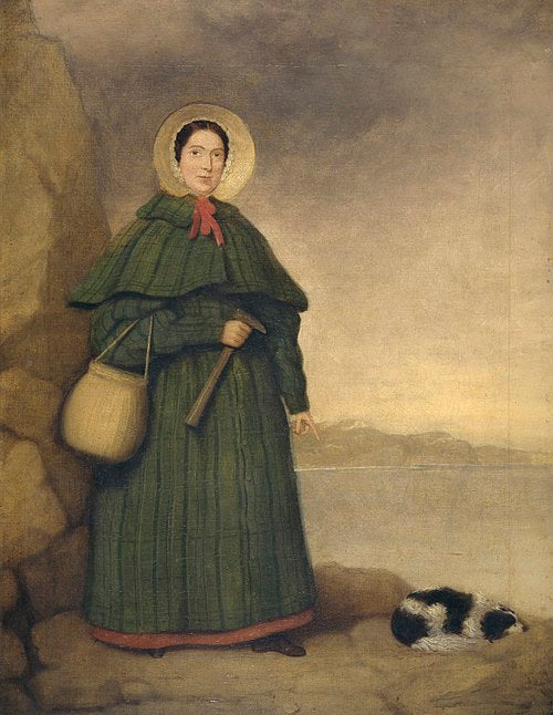 Mary Anning, The Fossil Girl – Curious Minds