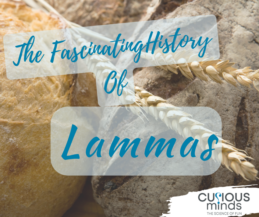 The History of Lammas Harvest Festival – Curious Minds