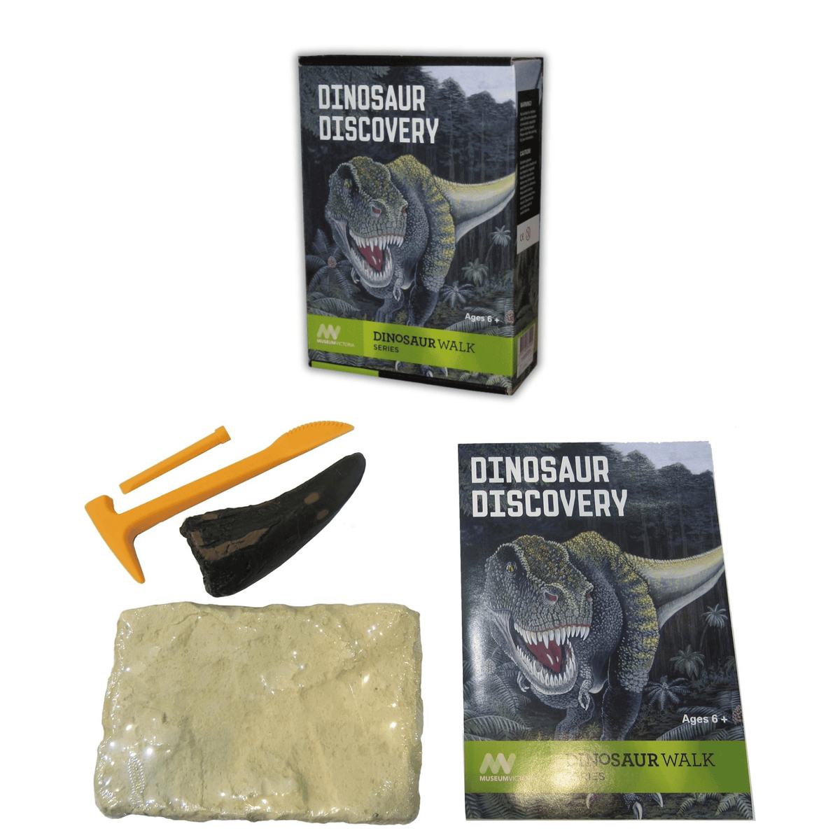 Dinosaur Discovery Excavation Kit – Curious Minds